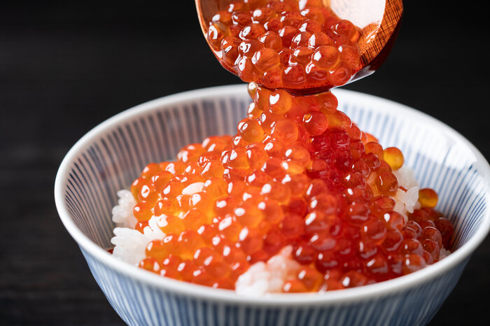 SODANE - あなたは海鮮派orお肉派？オススメ絶品どんぶりを北海道民に伺いました。