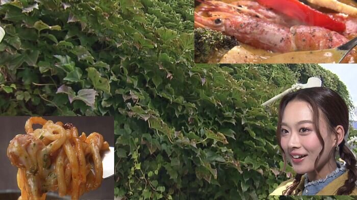 SODANE - 「ツタうまい店」＃1 ツタがからまる建物にうまい店アリ！札幌で絶品グルメの〝ツタの店〟発見