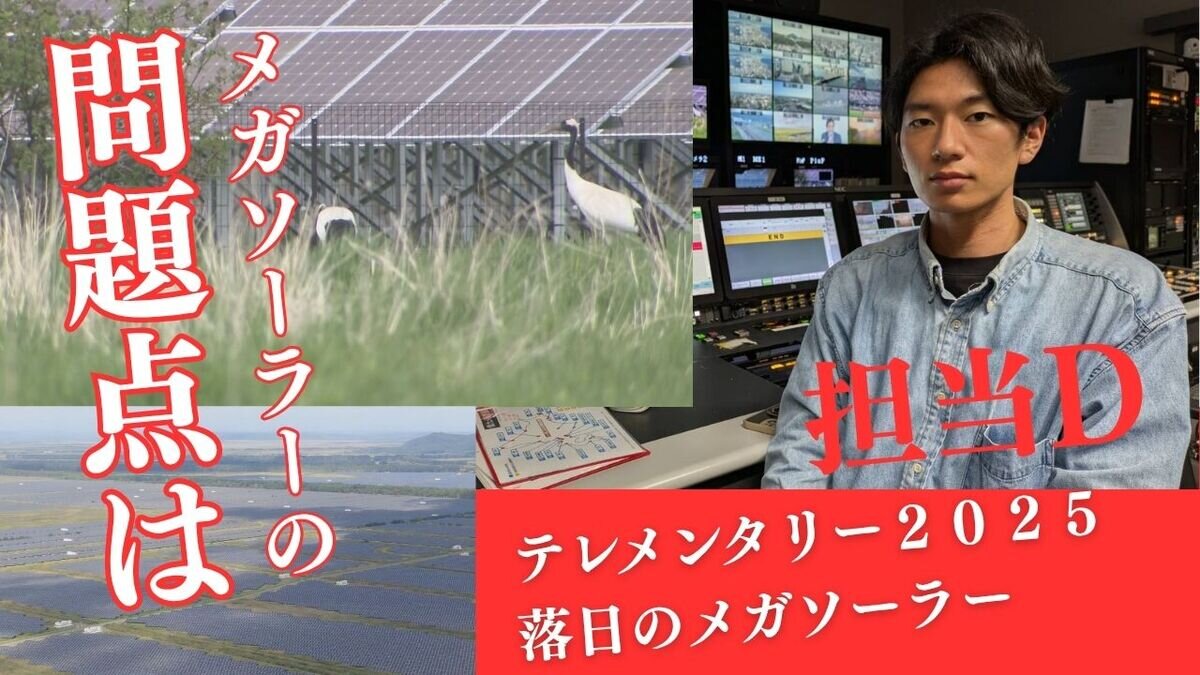 SODANE - 担当ディレクターが語る！「落日のメガソーラー 問われる自然との共生」貴重な自然生物の危機が目の前に…いま訴えたいこととは？